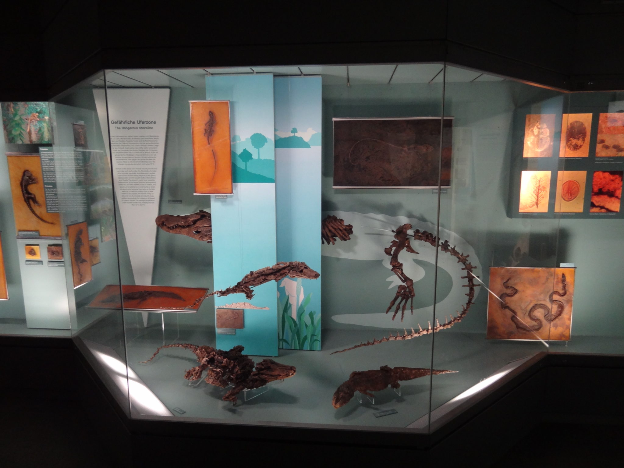 Fossil treasures of Messel Pit part II: Crocs and gators | Bestiarium