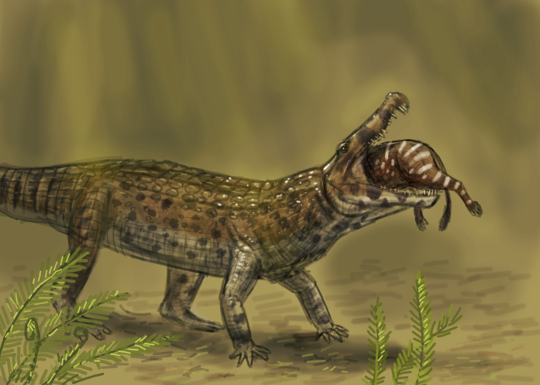 Bestiarium | Fantastisches aus Biologie, Paläontologie und Natur