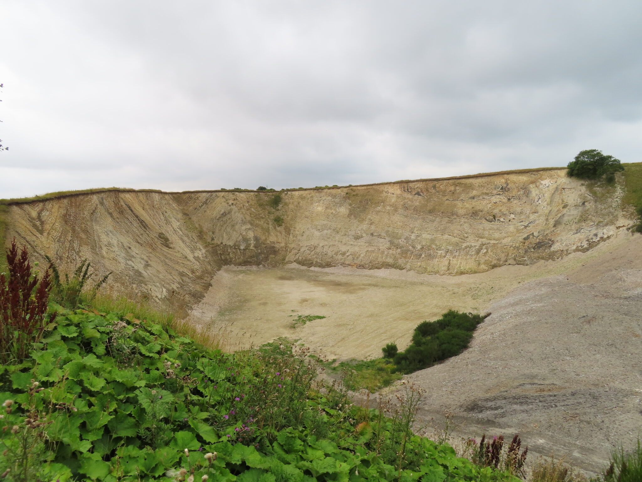 Bestiarium | Fantastisches aus Biologie, Paläontologie und Natur
